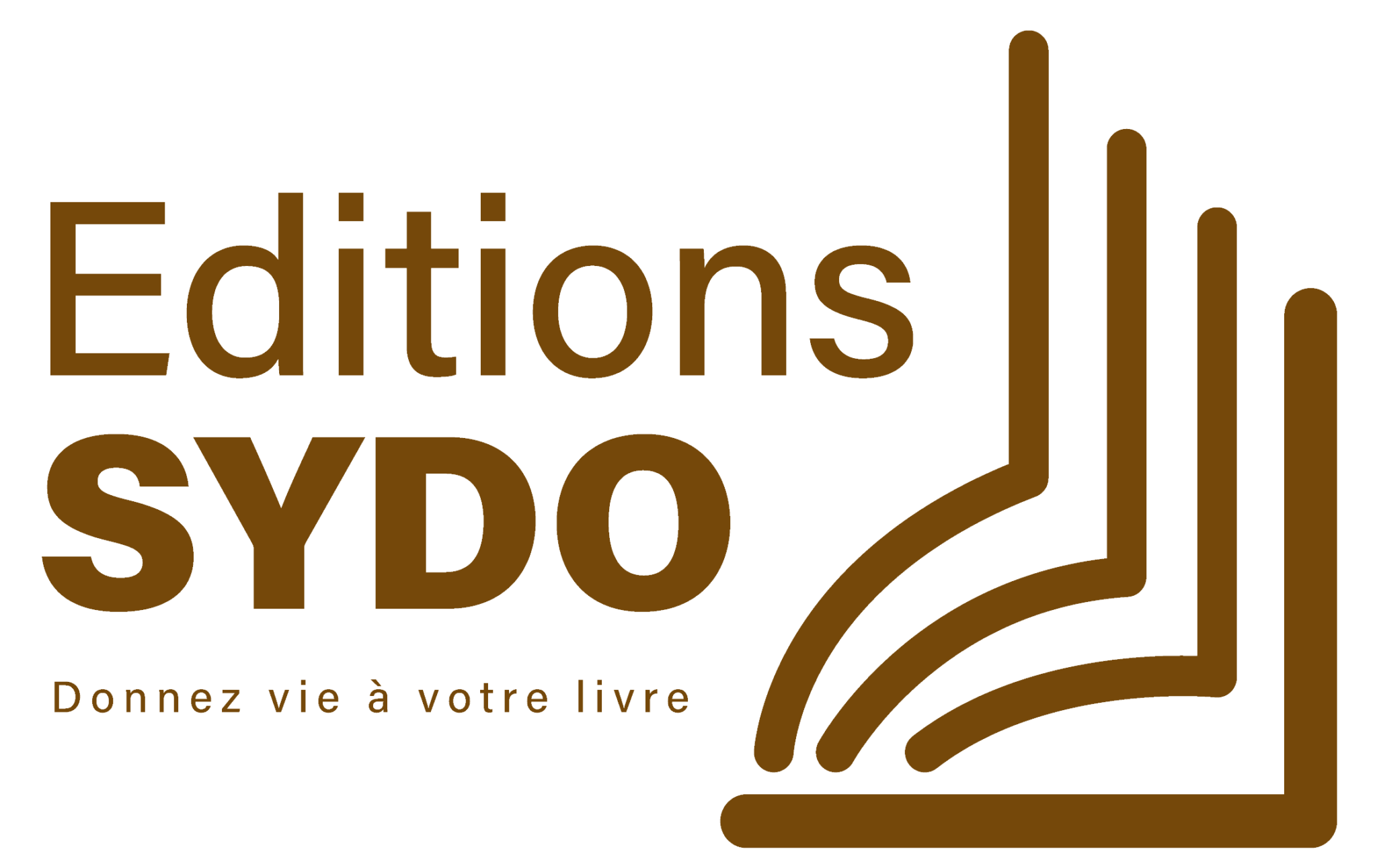 Six étapes pour écrire un roman - Editions Sydo